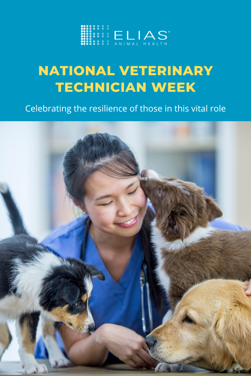 National Vet Tech Week: Resilience is the Heart of Vet Med