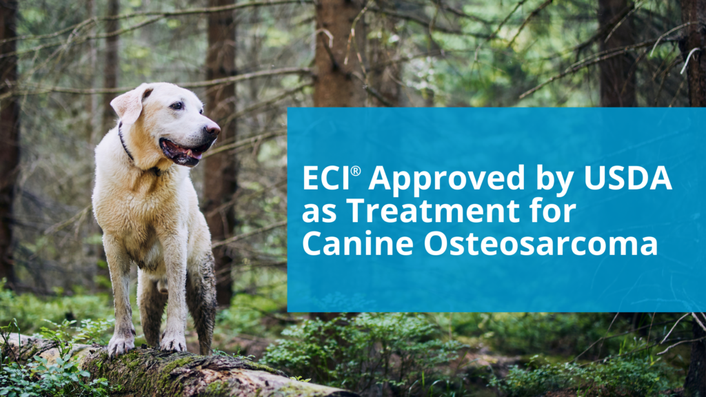 ELIAS Animal Health Receives Approval from USDA for the ELIAS Cancer ...